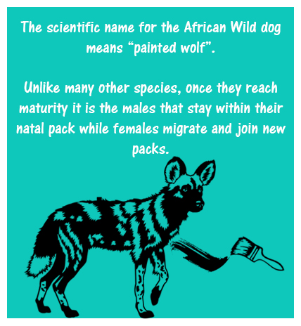 See Your Favorite Animals • Heritage Africa